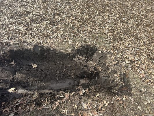 KC DISPOSAL - Updated December 2025 - 16 Photos & 80 Reviews - 10011 ...