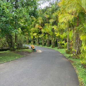 PANA’EWA RAINFOREST ZOO & GARDENS - 723 Photos & 209 Reviews - 800 ...