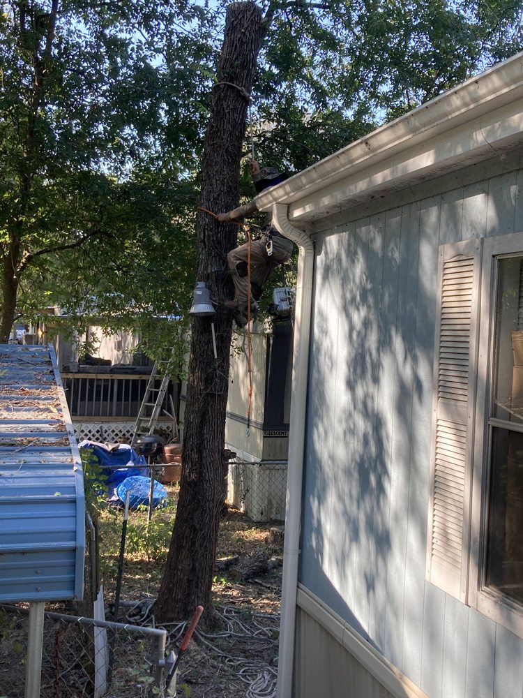 K&R TREE SERVICE - Updated October 2025 - 127 Photos - 1710 Eubanks St ...