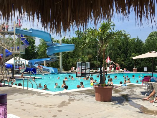 THE ARENA CLUB - Updated September 2025 - 48 Photos & 48 Reviews - 2304 ...