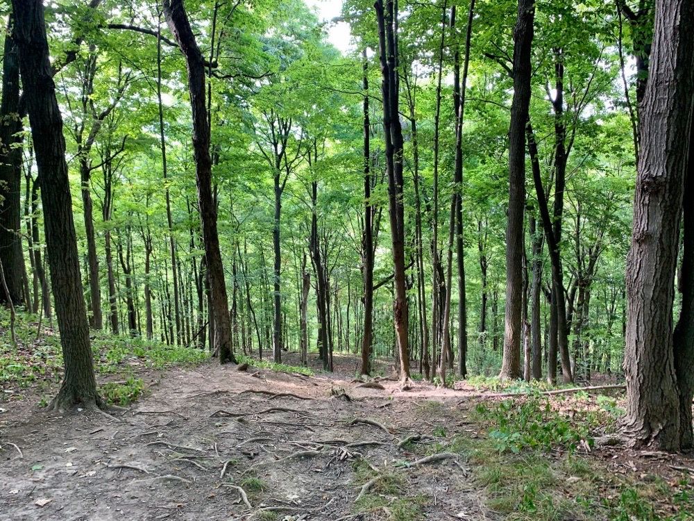 CHIMNEY ROCKS PARK - 10 Photos - Parks - Chimney Rocks Rd ...