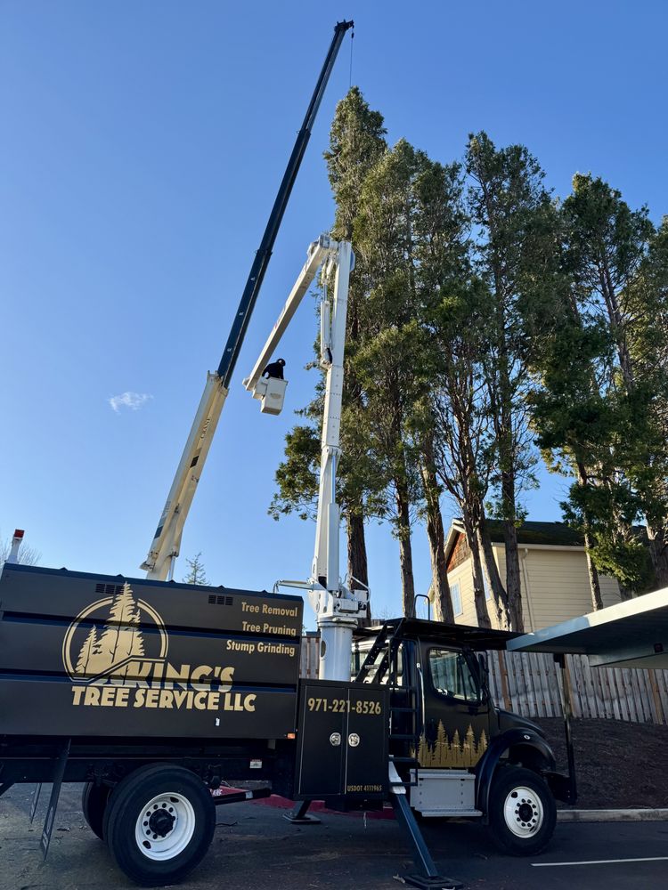 KING’S TREE SERVICE - Updated July 2025 - 153 Photos & 17 Reviews - 380 ...