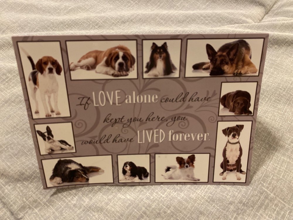 COPPER VIEW ANIMAL HOSPITAL - Updated May 2026 - 10 Photos & 59 Reviews ...