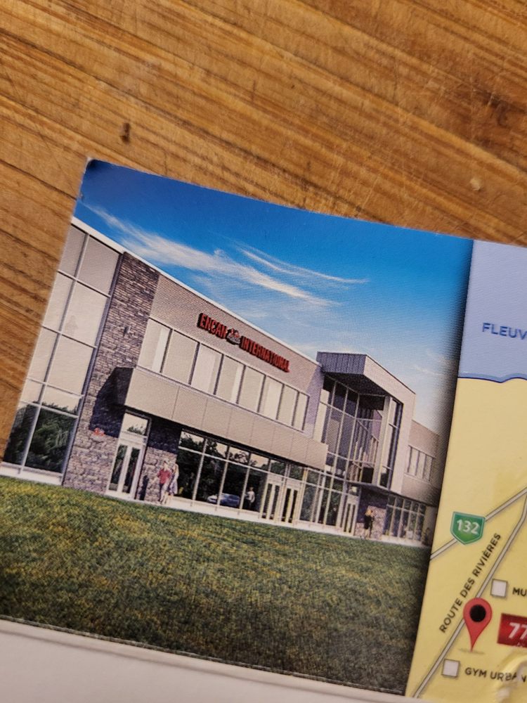 INTERNATIONAL AUCTION - Updated December 2025 - 31 Reviews - 770 Route ...