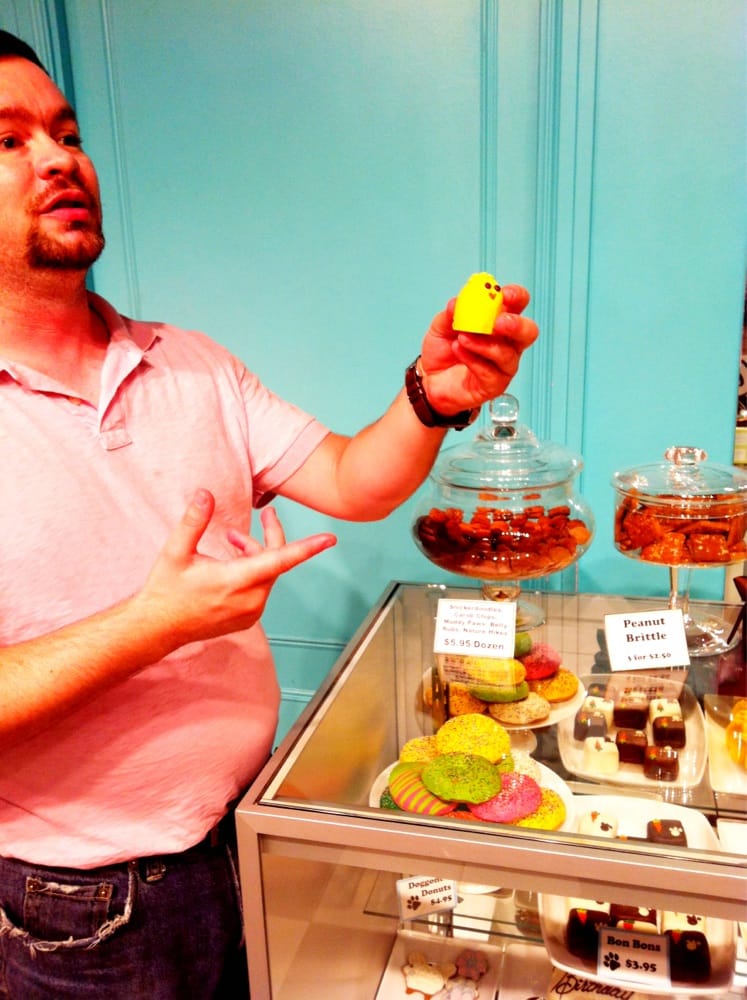 THE DOG COMPANY - Updated June 2024 - 13350 Dallas Pkwy, Dallas, Texas ...