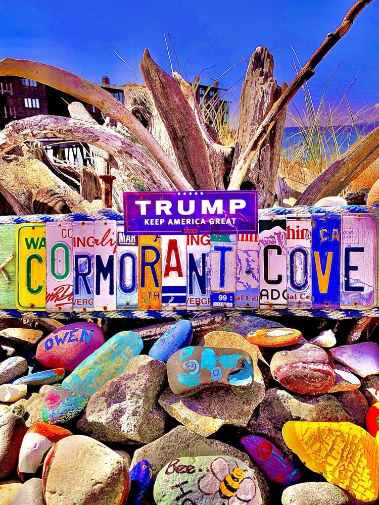 CORMORANT COVE - Updated January 2026 - 22 Photos - 3701 Beach Dr SW ...