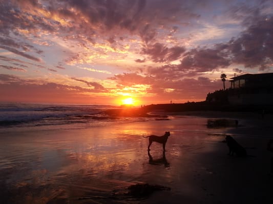 JOHN’S BASCOM AUTOMOTIVE - Updated December 2025 - 18 Photos & 118 ...