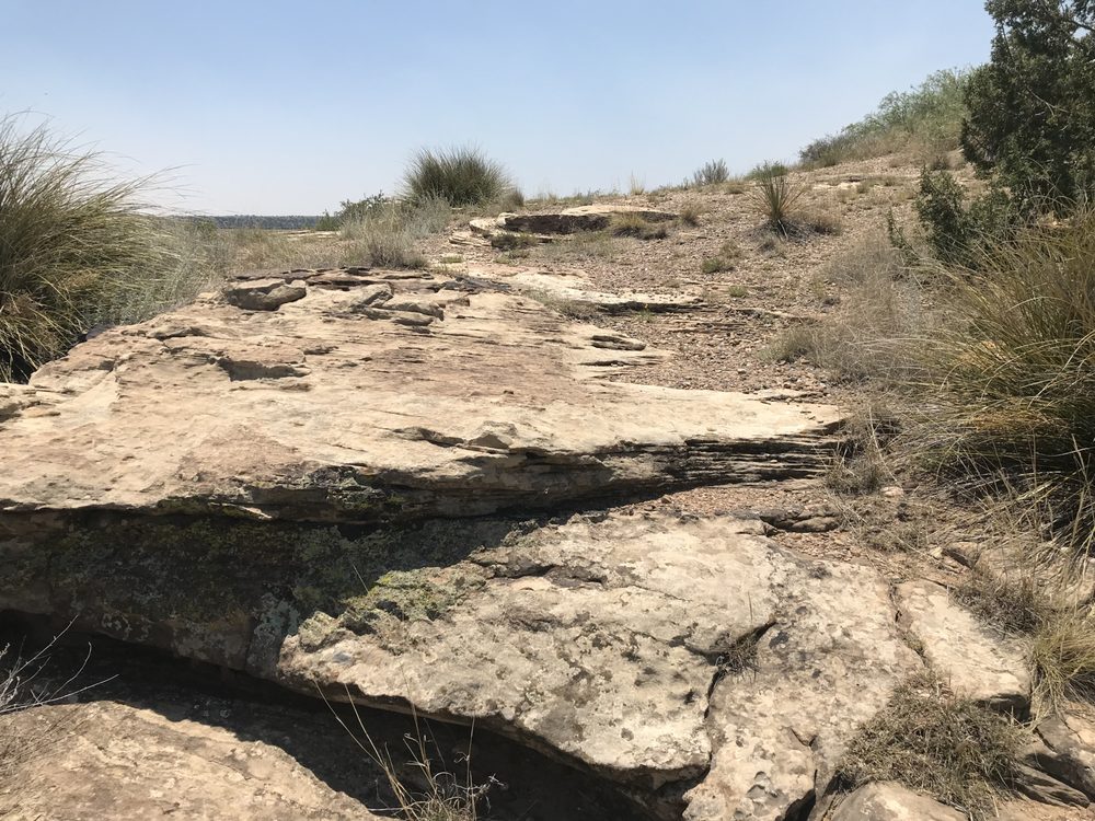 SUMNER LAKE STATE PARK - Updated October 2025 - 15 Photos - Lake Sumner ...