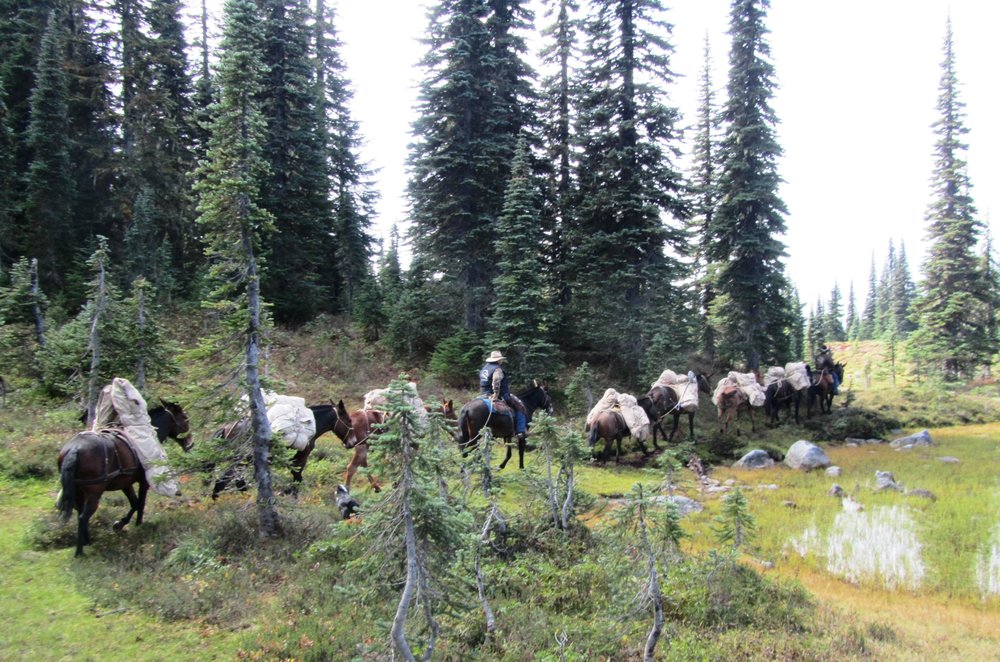 CHINOOK PASS OUTFITTERS - Updated August 2025 - 11 Photos & 10 Reviews ...