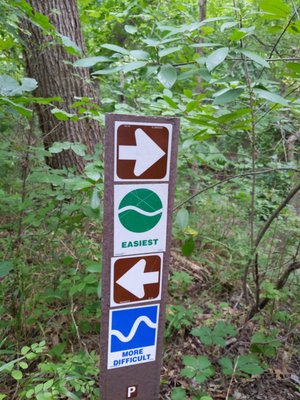 ERWIN PARK - Updated June 2024 - 80 Photos & 13 Reviews - 4300 County ...