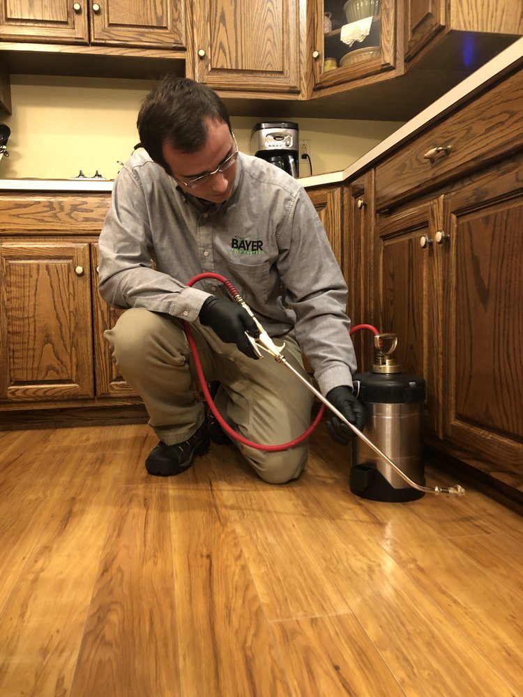 BAYER PEST CONTROL - Updated August 2025 - 301 W 1st St, Dayton, Ohio ...