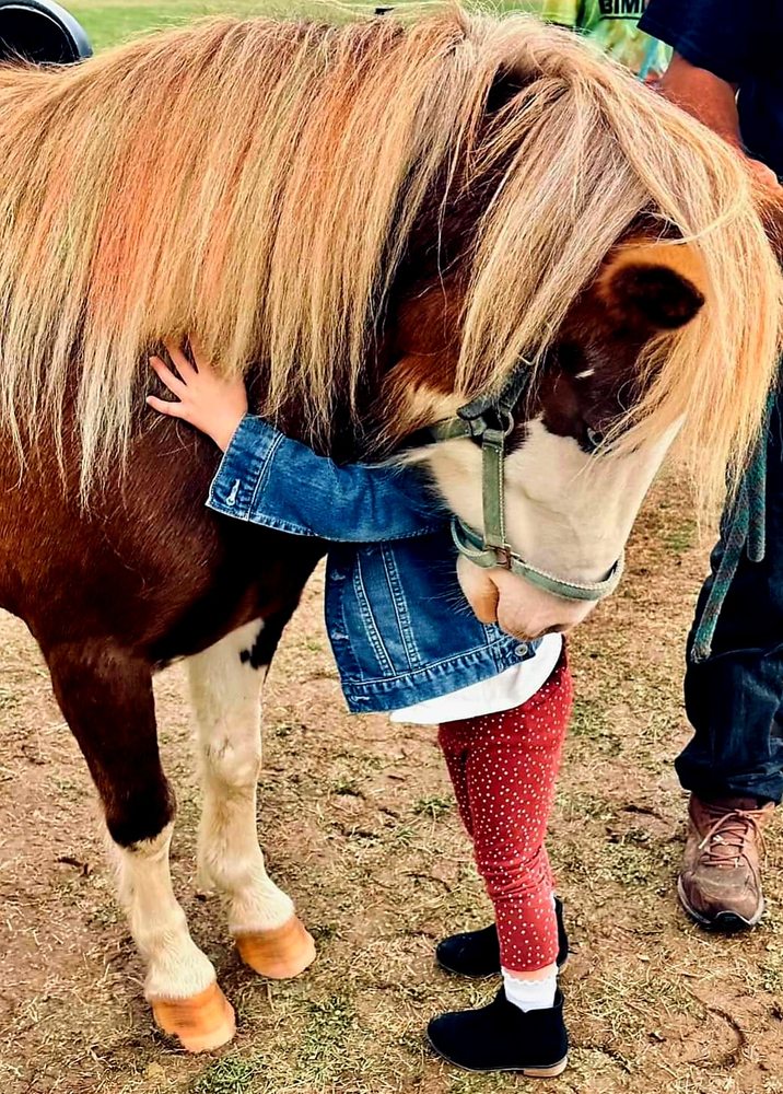 ONCE UPON A PONY PARTY - Updated March 2026 - 11 Photos - Warminster ...