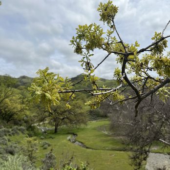 SUNOL REGIONAL WILDERNESS AREA - Updated August 2025 - 1955 Photos ...
