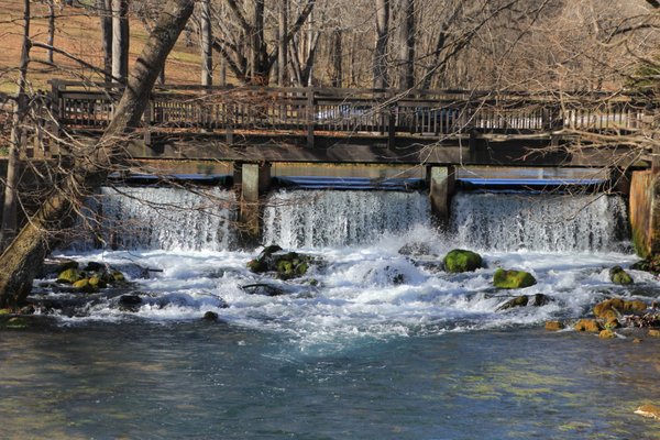 MARAMEC SPRING PARK - Updated November 2024 - 92 Photos & 23 Reviews ...