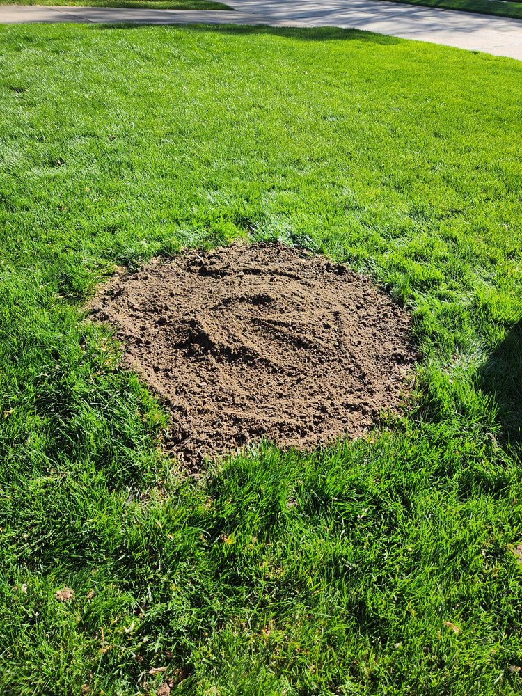 GRUMPY STUMPY’S TREE STUMP GRINDING - Updated July 2025 - 11 Photos ...