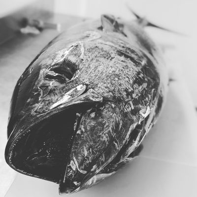 ELITE FISH PROCESSING - Updated October 2025 - 115 Photos - San Diego ...