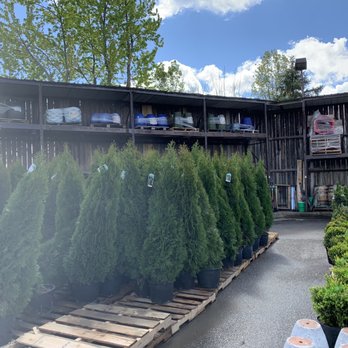 MENARDS - Updated January 2026 - 27 Photos & 13 Reviews - 7702 ...