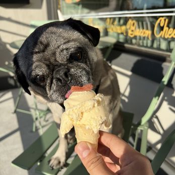 FRYDAE - Updated December 2025 - 72 Photos & 49 Reviews - 743 10th St ...