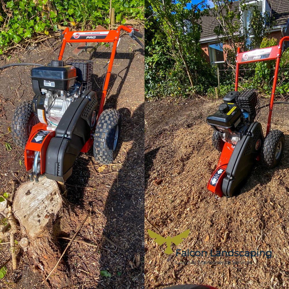 FALCON LANDSCAPING - Updated June 2024 - 38 Photos - 54 St James Street ...