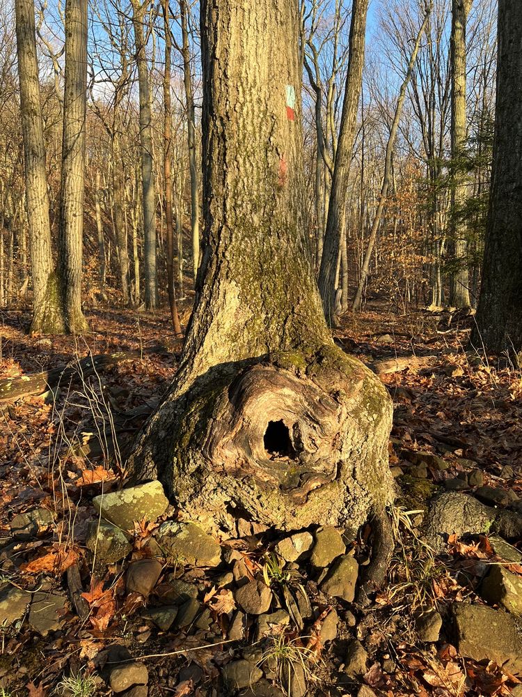 MT. HIGBY - Updated July 2025 - CT-66 & Meriden Rd, Middlefield ...