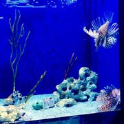 UGA MARINE EDUCATION CENTER & AQUARIUM - 31 Photos & 19 Reviews - 30 ...