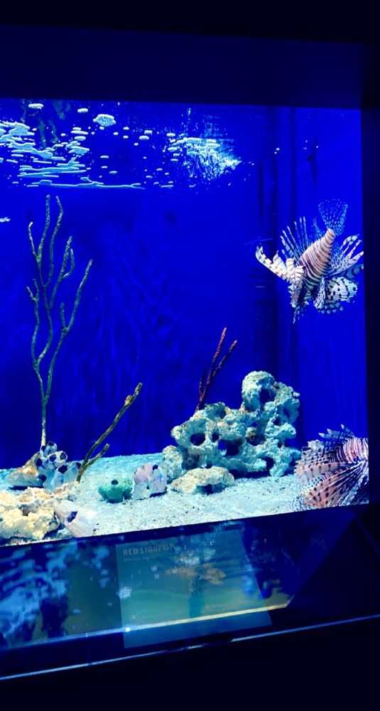 UGA MARINE EDUCATION CENTER & AQUARIUM - Updated July 2024 - 33 Photos ...