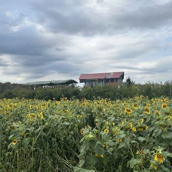 FREEDOM FARMS FARMERS MARKET - Updated December 2025 - 25 Photos & 40 ...