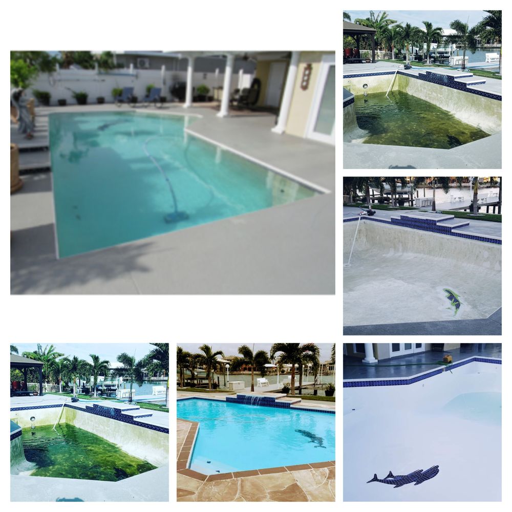 BARRACUDA SUFACES - Updated May 2025 - 150 Photos - Largo, Florida ...