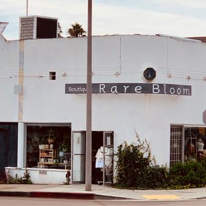 RARE BLOOM - 52 Photos & 40 Reviews - 2841 Canon St, San Diego ...