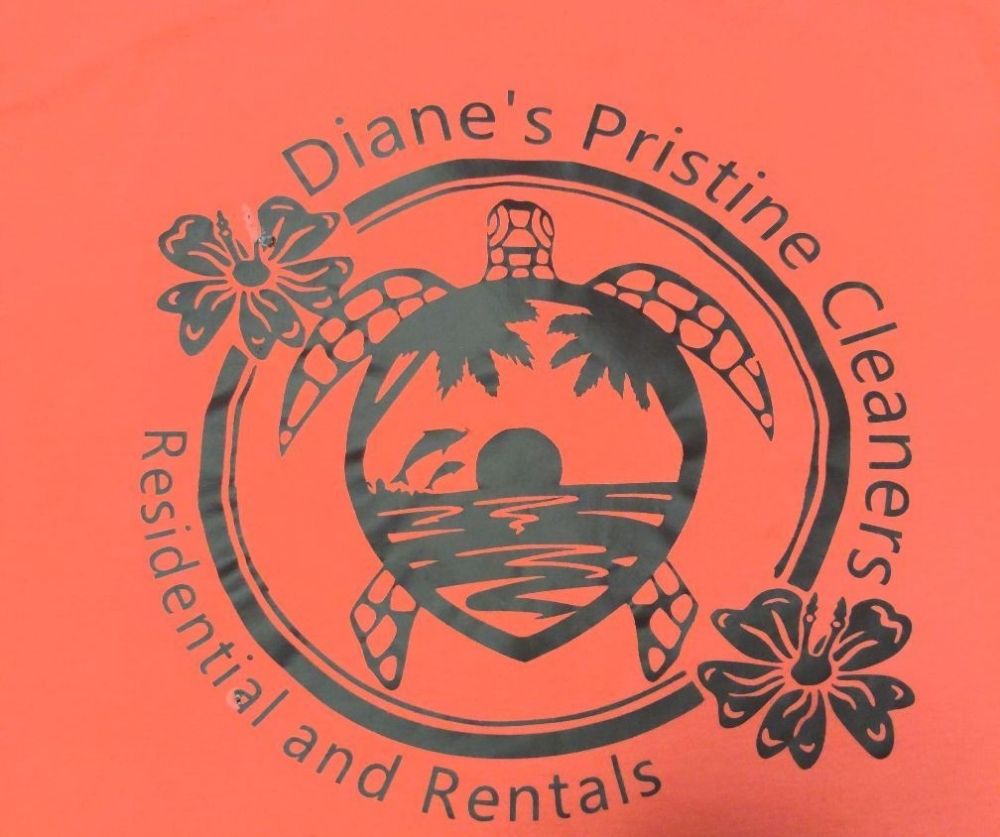Diane’s Pristine Cleaners - Trusted Since 2019 - Updated July 2025 - 211 Moore Hill Ln, Yemassee ...