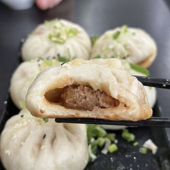 DUMPLING GARDEN - Updated August 2025 - 542 Photos & 346 Reviews - 108A ...