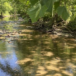 SOUTH FORK PARK - 83 Photos - 9200 Southfork Park Dr, Florence ...