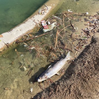 HESPERIA LAKE PARK & CAMPGROUND - Updated December 2024 - 133 Photos ...