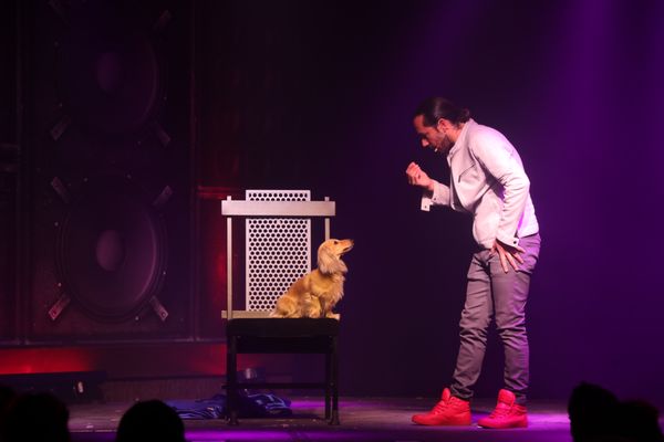 ALEX RAMON MAGIC - 41 Photos & 40 Reviews - 15 Hwy 50 Stateline ...