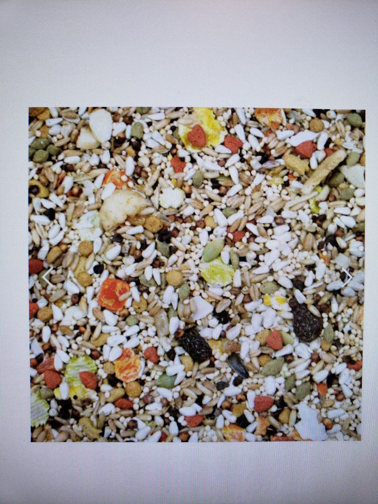 THE HAPPY PARROT - Updated December 2025 - 13 Photos & 23 Reviews ...