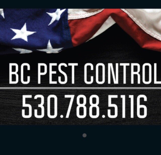BC PEST CONTROL - Olivehurst, California - Pest Control - Phone Number ...