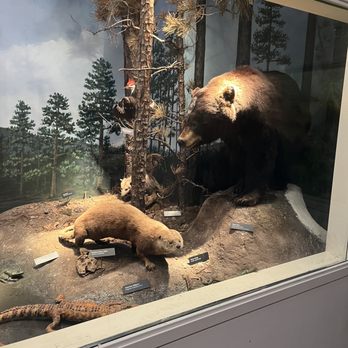 TEXAS SCIENCE & NATURAL HISTORY MUSEUM - Updated October 2025 - 174 ...