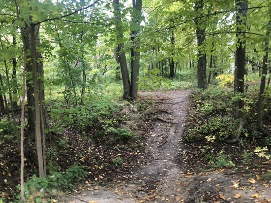 CHEDOKE RADIAL TRAIL - Updated January 2025 - 11 Photos - 1180 Scenic ...