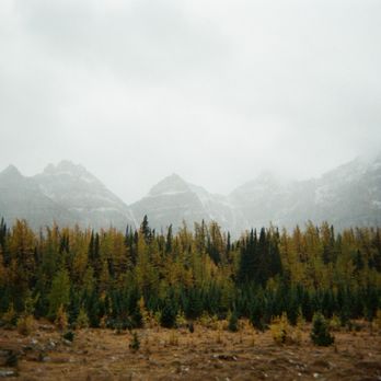 RED ROOM PHOTO LAB - Updated April 2025 - 63 Photos & 73 Reviews - 6566 ...