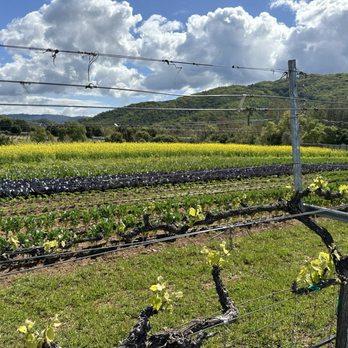 MOHI RANCH - Updated December 2025 - 328 Photos & 203 Reviews - 12775 ...