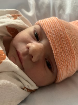 MOMDOC - Updated August 2025 - 32 Photos & 134 Reviews - 2055 W Frye Rd ...