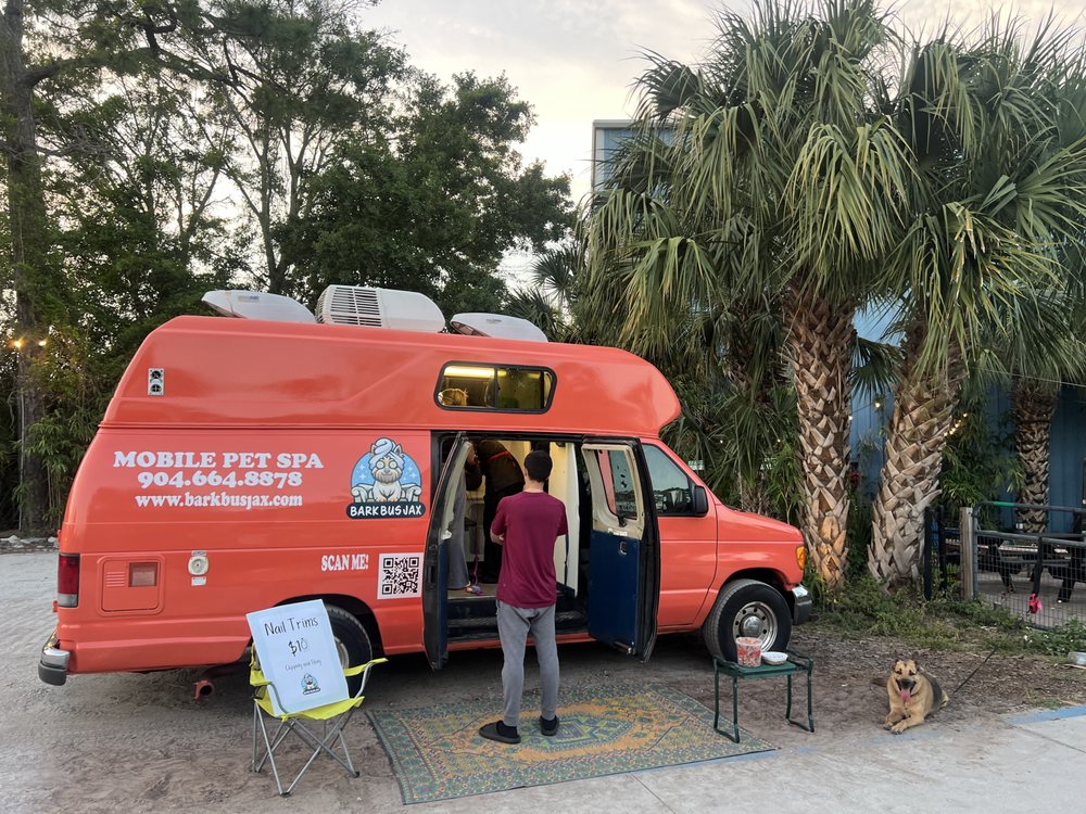BARK BUS JAX - Updated July 2024 - 13 Photos - 325 Greencastle Dr ...