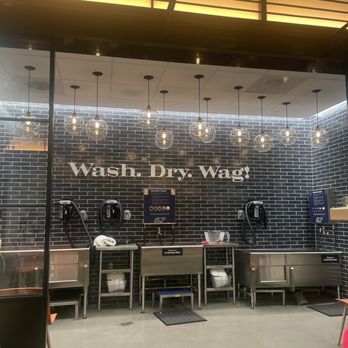 PETCO - Updated August 2024 - 260 Photos & 374 Reviews - 44 Union ...