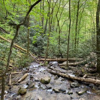 MINGO FALLS - Updated December 2024 - 139 Photos & 46 Reviews - Eastern ...