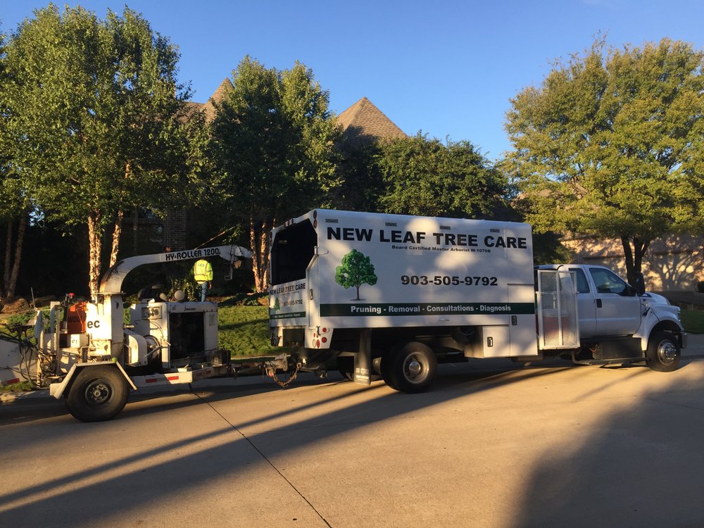 NEW LEAF TREE & SHRUB CARE - Updated June 2025 - Bonham, Texas - Tree ...