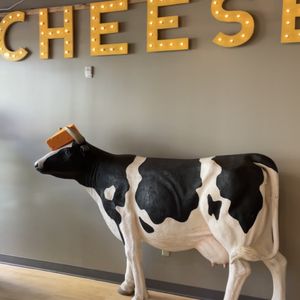 WISCONSIN CHEESE MART - 39 Photos & 14 Reviews - 119 State St, Madison ...