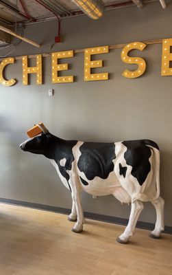 WISCONSIN CHEESE MART - Updated January 2026 - 43 Photos & 25 Reviews ...