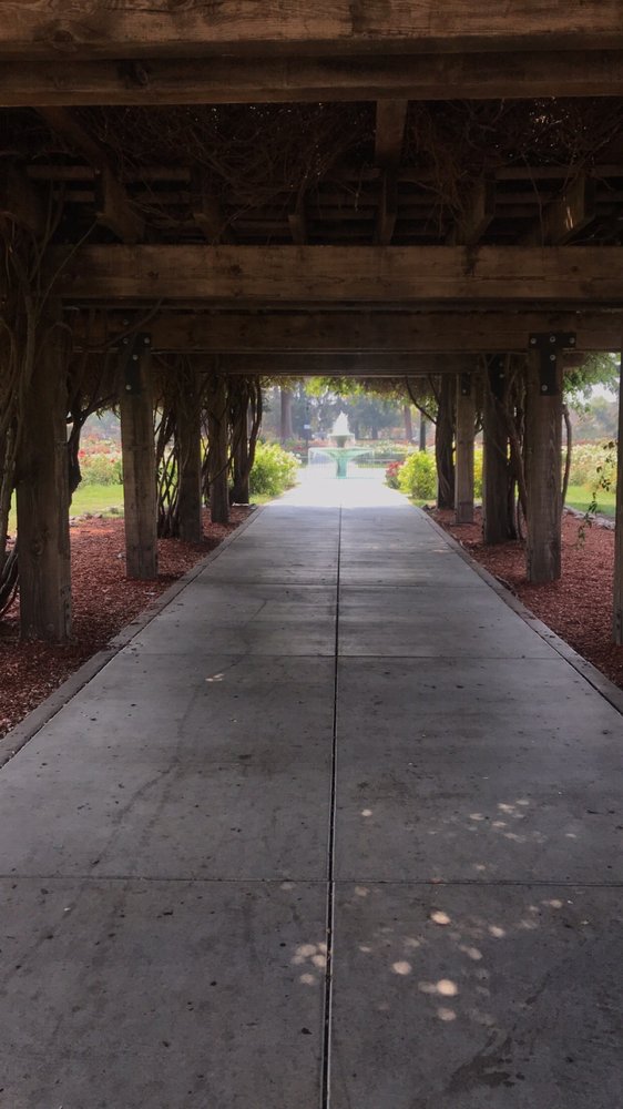 ROSE GARDEN BRANCH LIBRARY - Updated March 2024 - 29 Photos & 36 ...