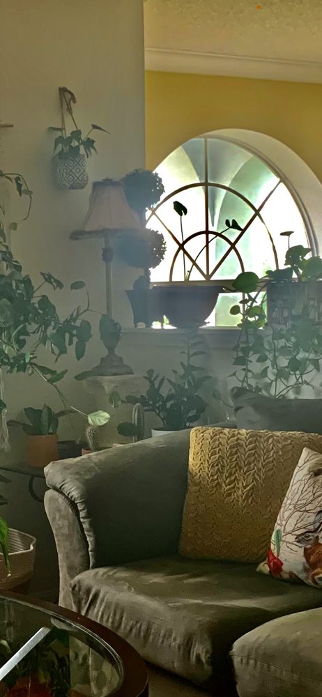 MONIQUE’S GARDEN - Updated July 2025 - 16 Photos - 201 Amesbury Lane, Kissimmee, Florida ...