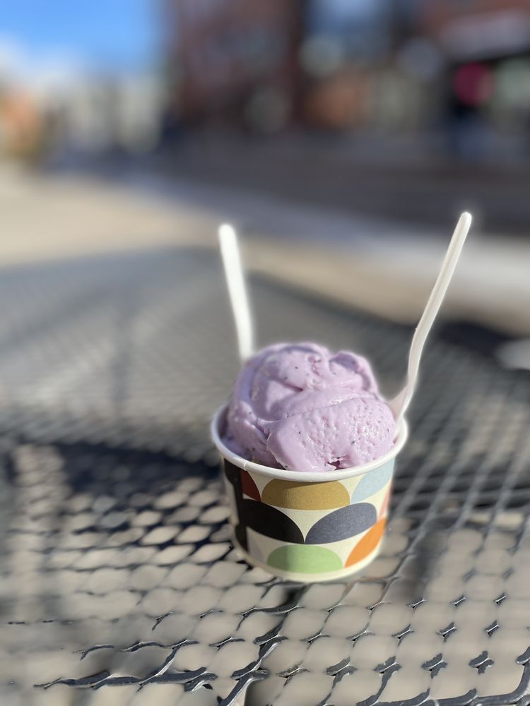 GELATO BOY - Updated August 2024 - 118 Photos & 100 Reviews - 1021 ...